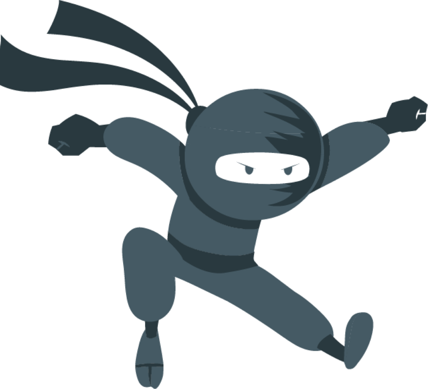 Login – Spa Ninja